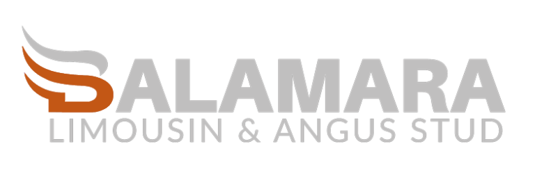 Balamara Limousin & Angus - Western Australia